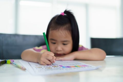 Abeka Curriculum Guide and Its Key Benefits